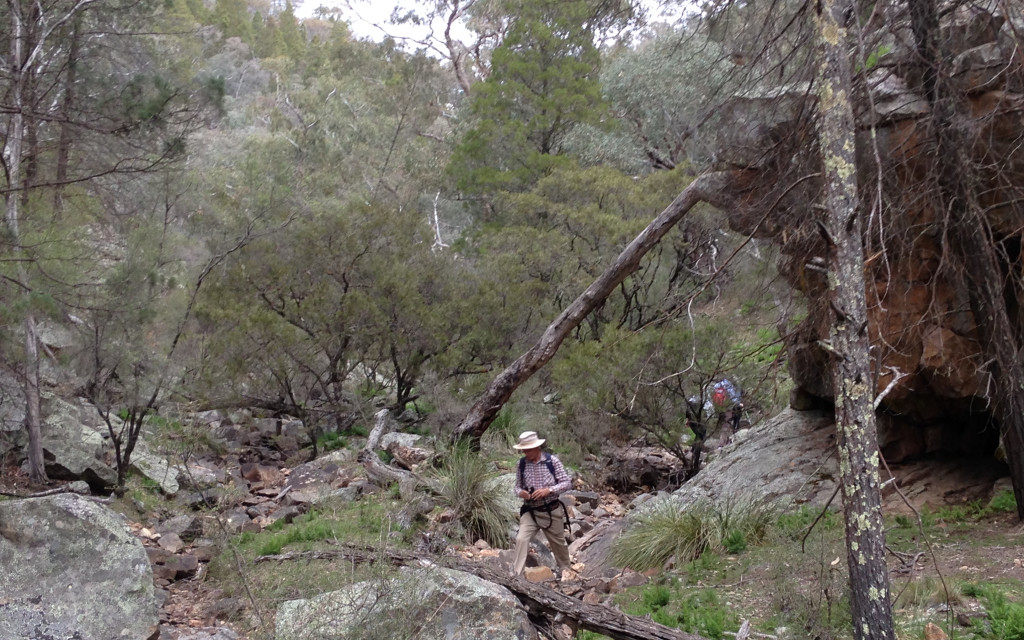 Upper Lachlan Shire Council Australia Day 2022 - Australia Day in NSW